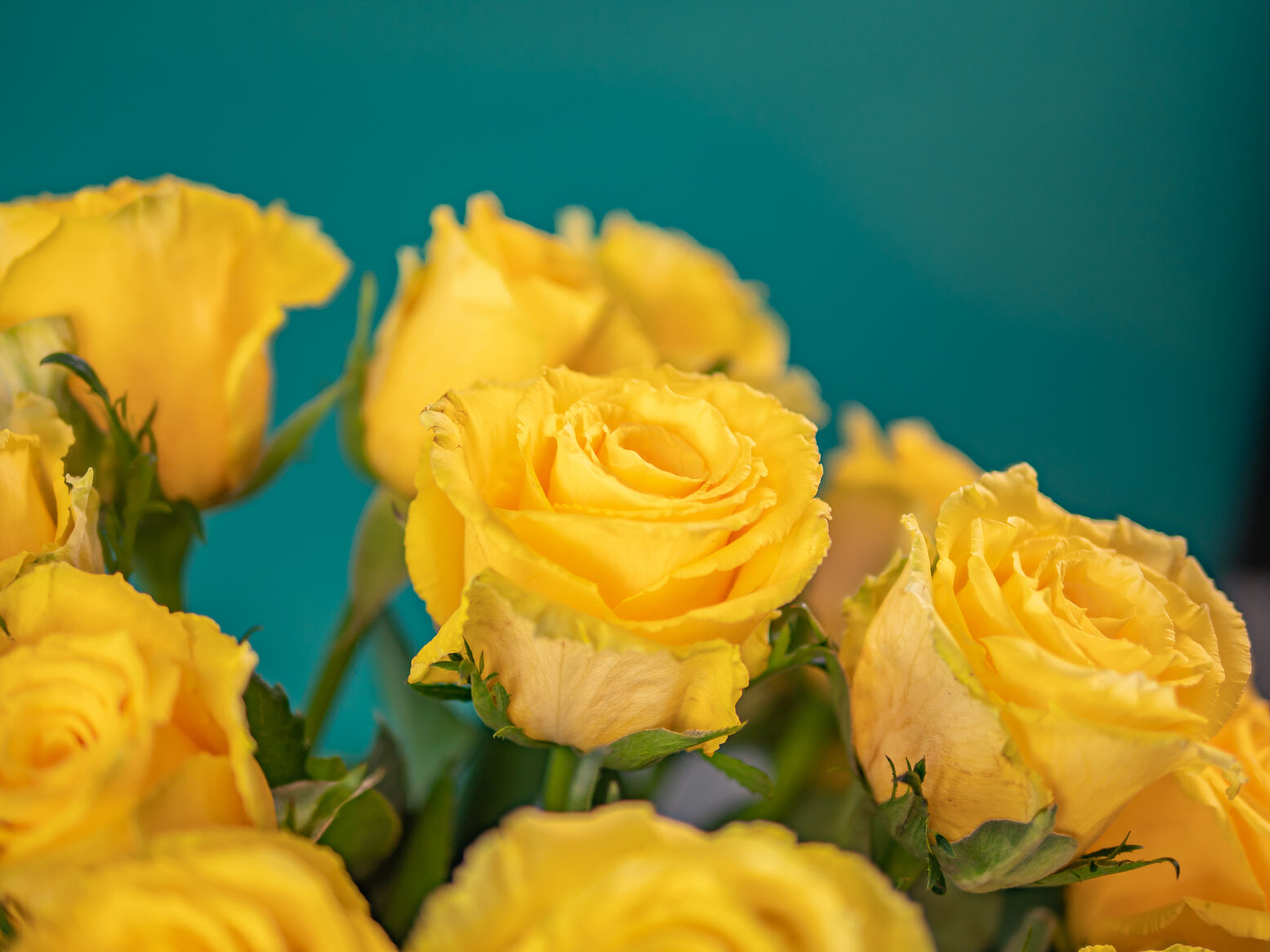 Choisir les fleurs parfaites pour vos meilleurs amis | Euroflorist