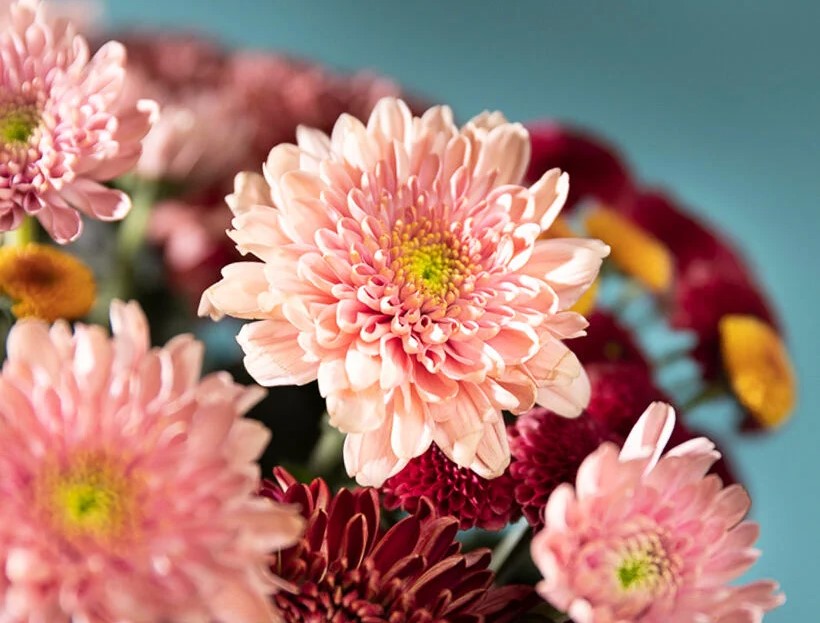 Floral Farewells: How to Say Goodbye with Flowers | Euroflorist