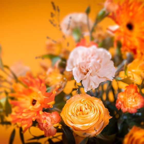 The Meaning Behind Flower Colours